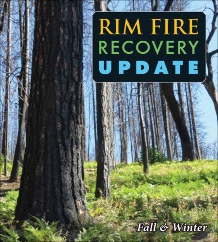 Understanding the Rim Fire - Three Forests Interpretive Association